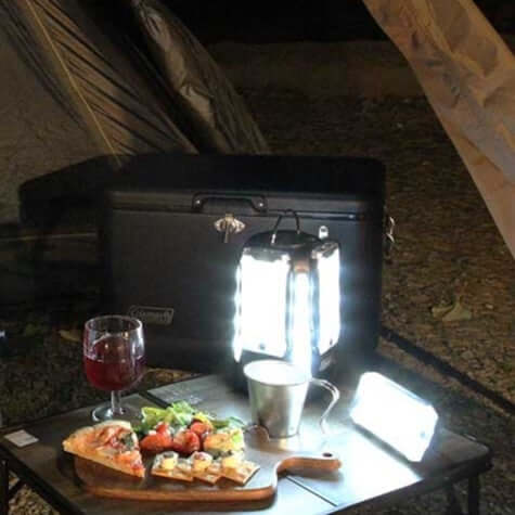 Coleman - Quad Multi Panel Lantern Limited Edition 2000038478-Quality ...